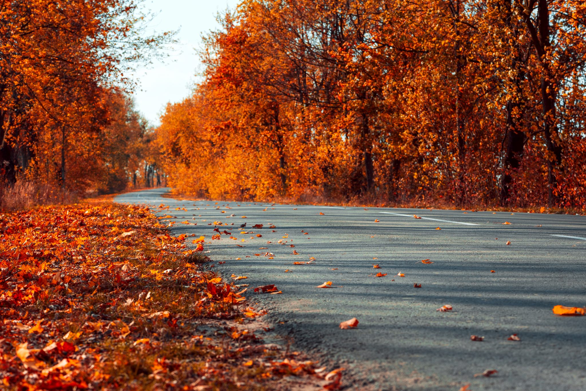 Difference Between a Highway and Freeway - Drivers Education