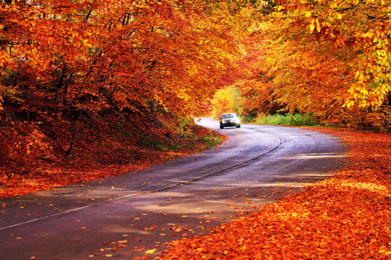 Driving in the fall season - Drivers Education
